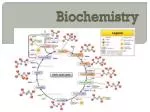 PPT - FORENSIC BIOCHEMISTRY PowerPoint Presentation, free download - ID ...