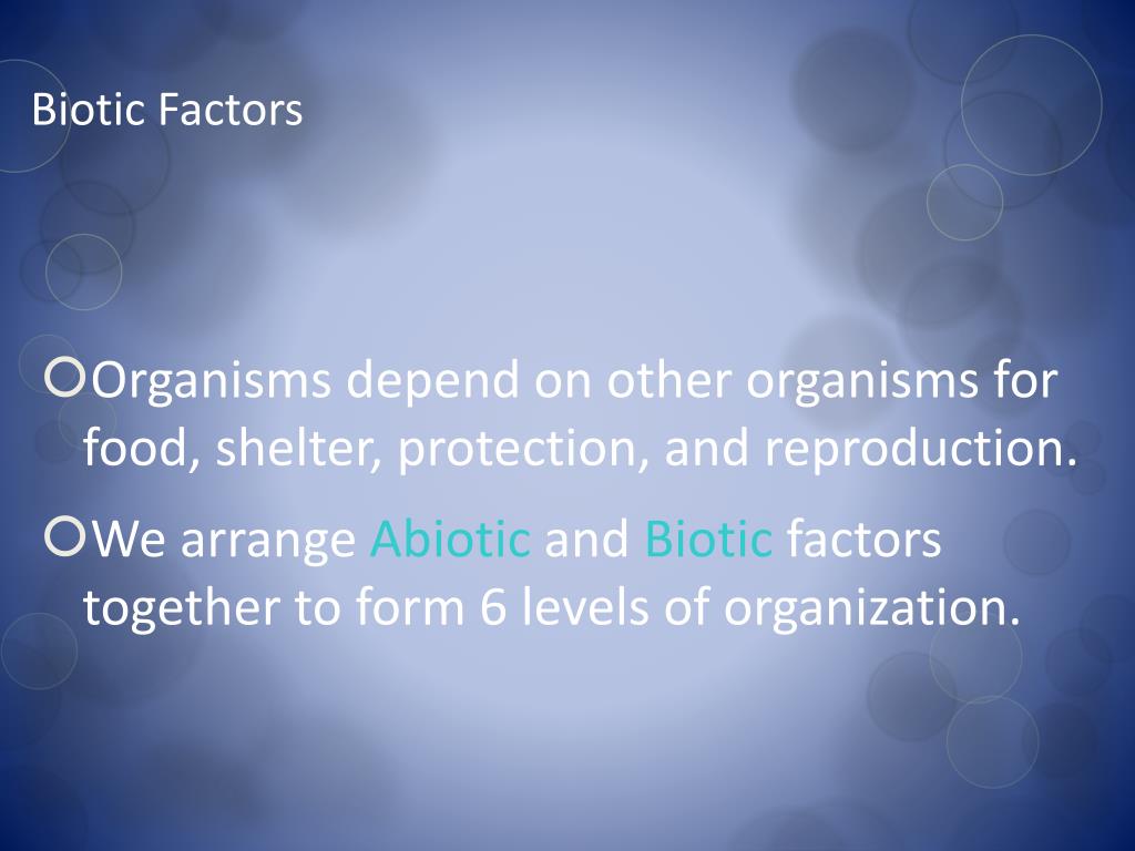 PPT - Biotic Factors PowerPoint Presentation, free download - ID:2828057