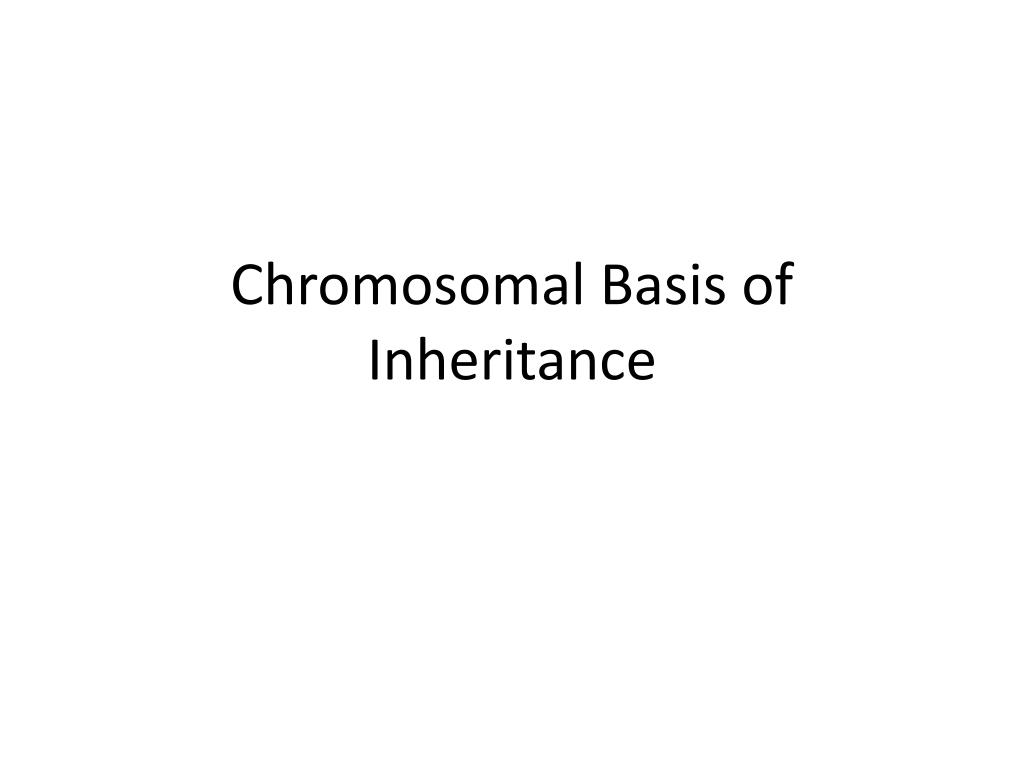 Ppt Chromosomal Basis Of Inheritance Powerpoint Presentation Free