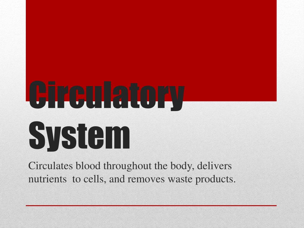 PPT - Circulatory System PowerPoint Presentation, free download - ID ...