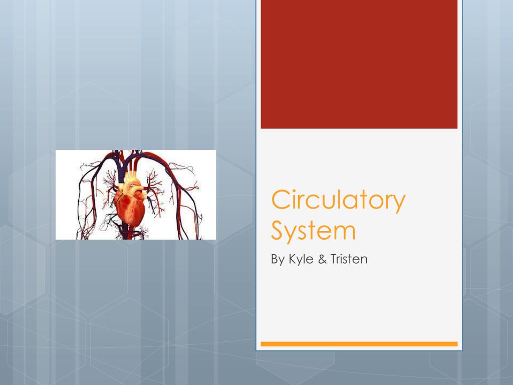 PPT - Circulatory System PowerPoint Presentation, free download - ID ...