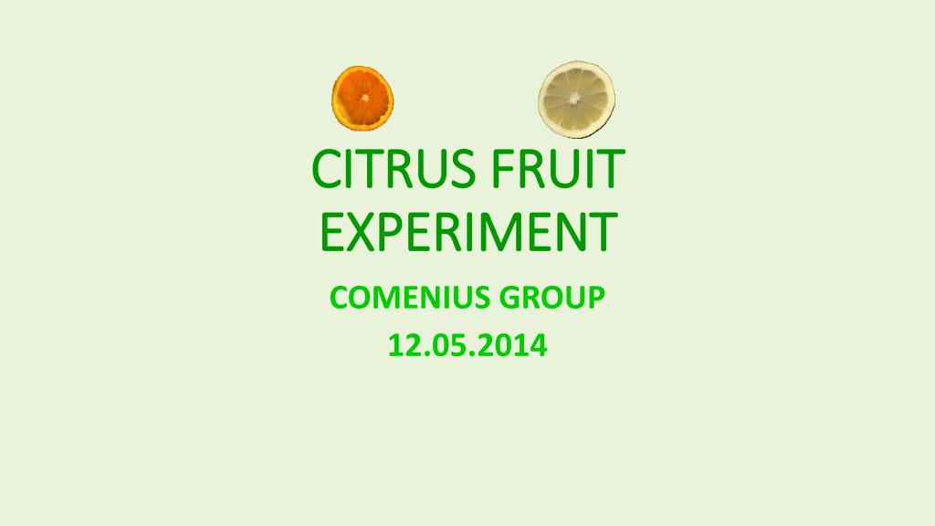 PPT - CITRUS FRUIT EXPERIMENT PowerPoint Presentation, free download ...