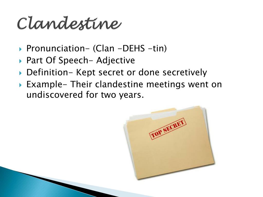 PPT - Clandestine PowerPoint Presentation, free download - ID:2830205