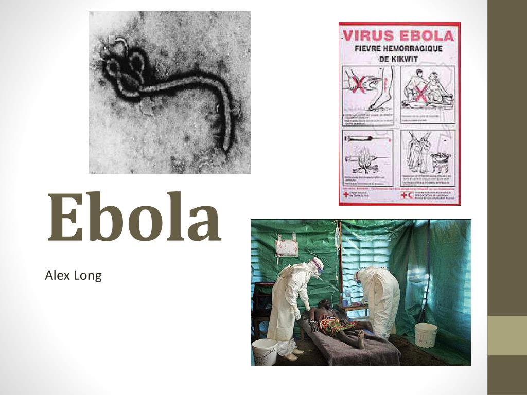 PPT - Ebola PowerPoint Presentation, free download - ID:2831841