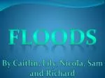 PPT - Floods PowerPoint Presentation, free download - ID:660407