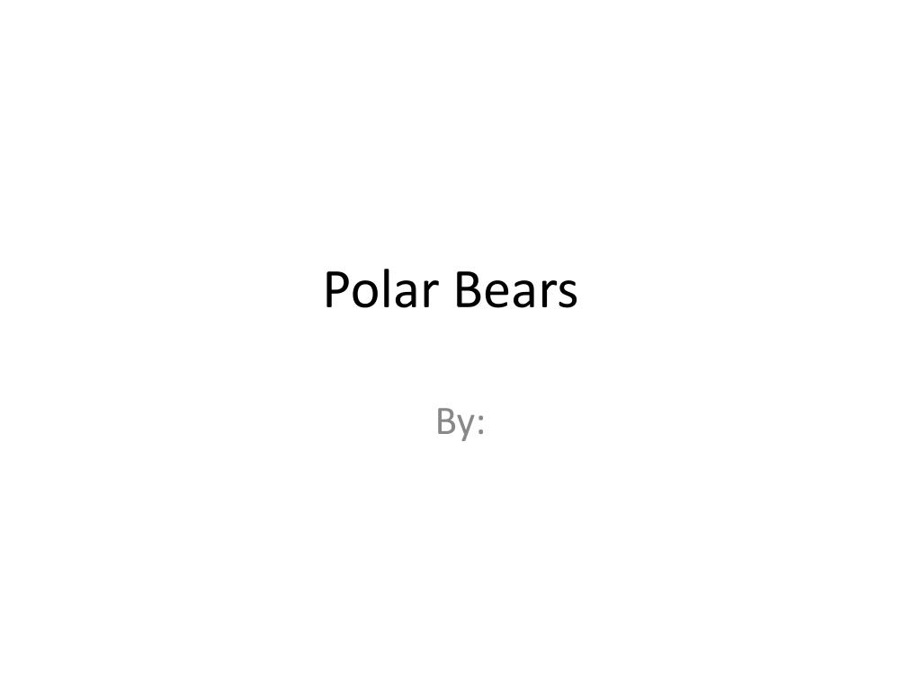 PPT - Polar Bears PowerPoint Presentation, free download - ID:2835174