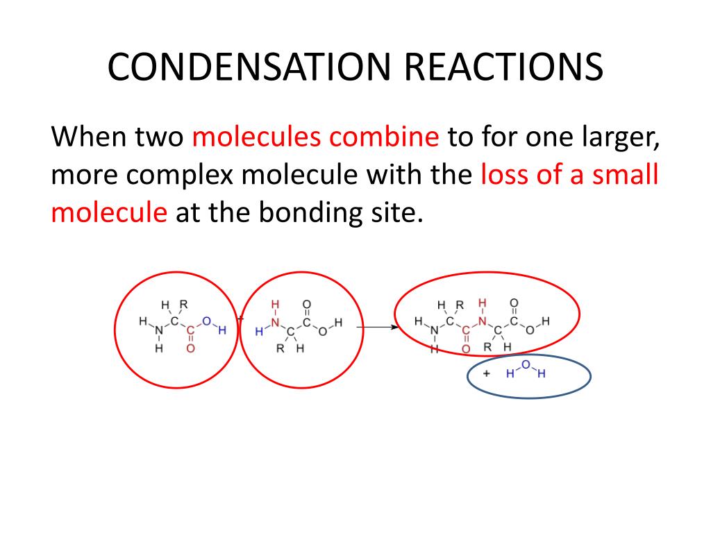 PPT - CONDENSATION REACTIONS PowerPoint Presentation, free download ...