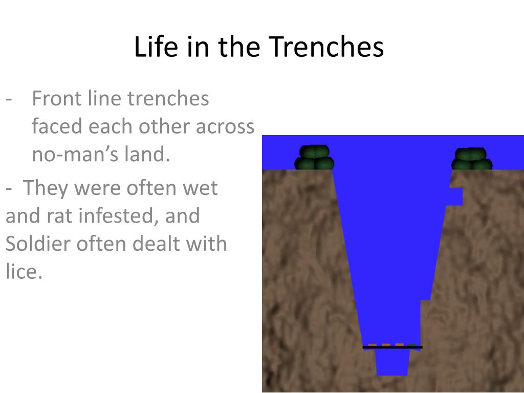 PPT - Life in the Trenches PowerPoint Presentation, free download - ID ...