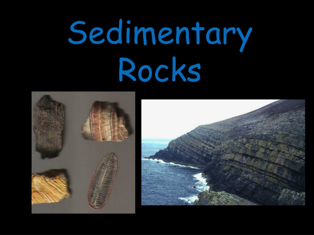 PPT - Sedimentary Rocks PowerPoint Presentation, free download - ID:2837055