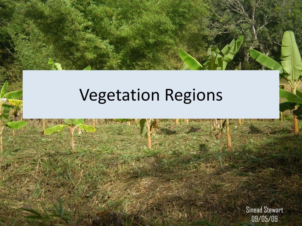 PPT - Vegetation Regions PowerPoint Presentation, free download - ID ...