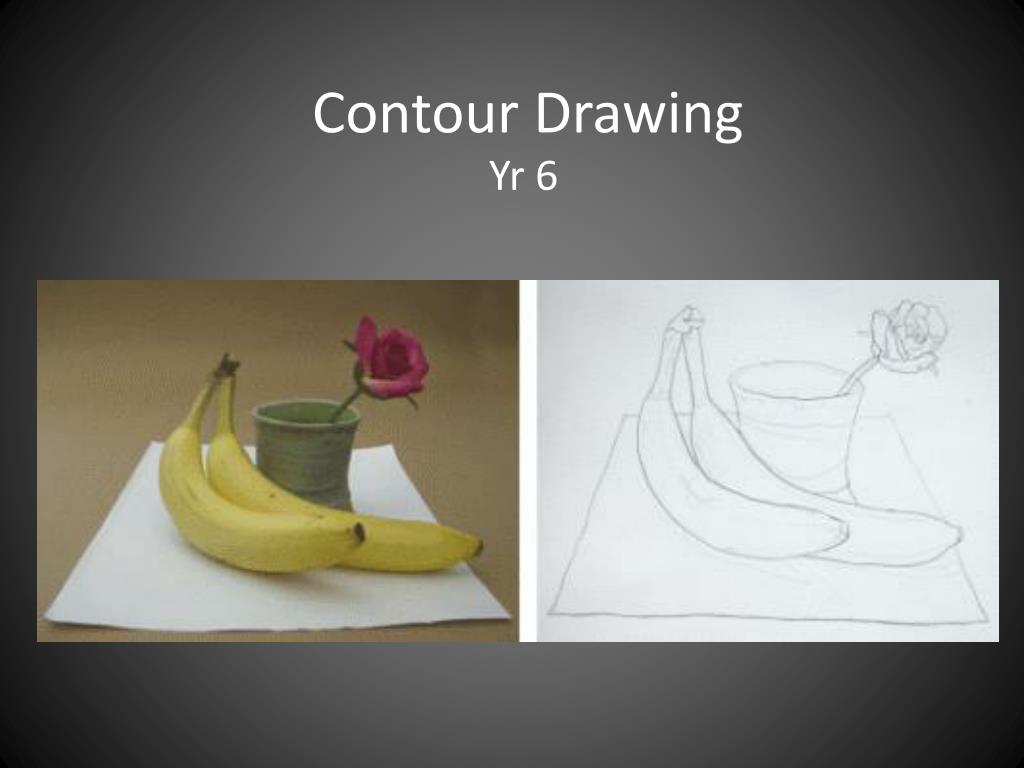 PPT - Contour Drawing PowerPoint Presentation, free download - ID:2840307