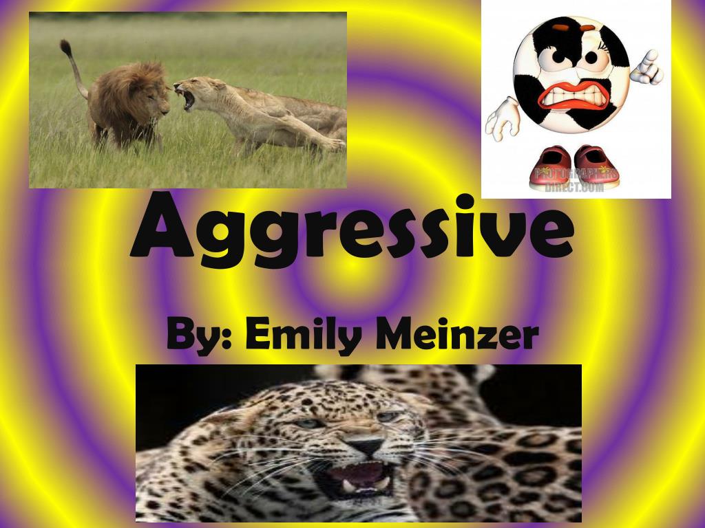 PPT - Aggressive PowerPoint Presentation, free download - ID:2841495