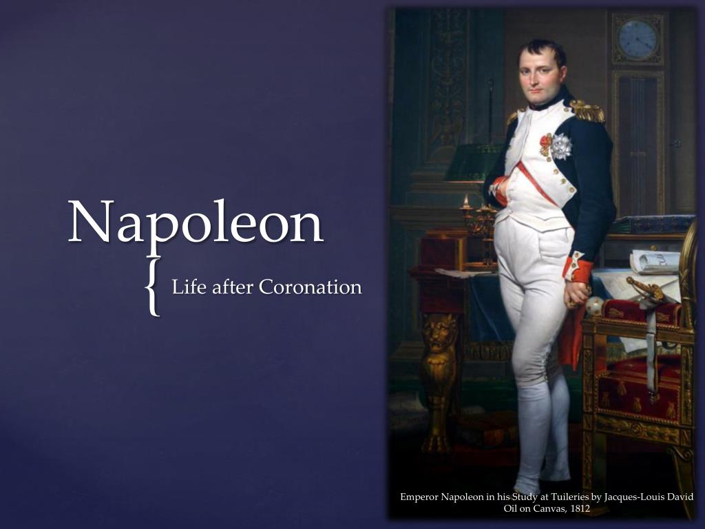 PPT - Napoleon PowerPoint Presentation, free download - ID:2842830