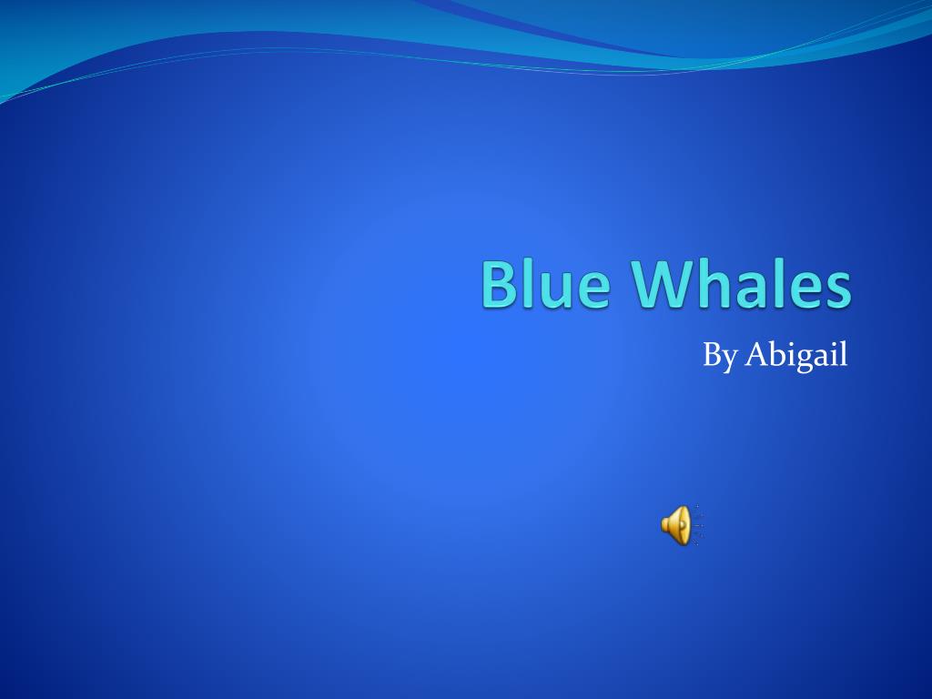 PPT - Blue Whales PowerPoint Presentation, free download - ID:2843157