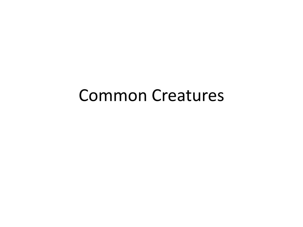 PPT - Common Creatures PowerPoint Presentation, free download - ID:2846389