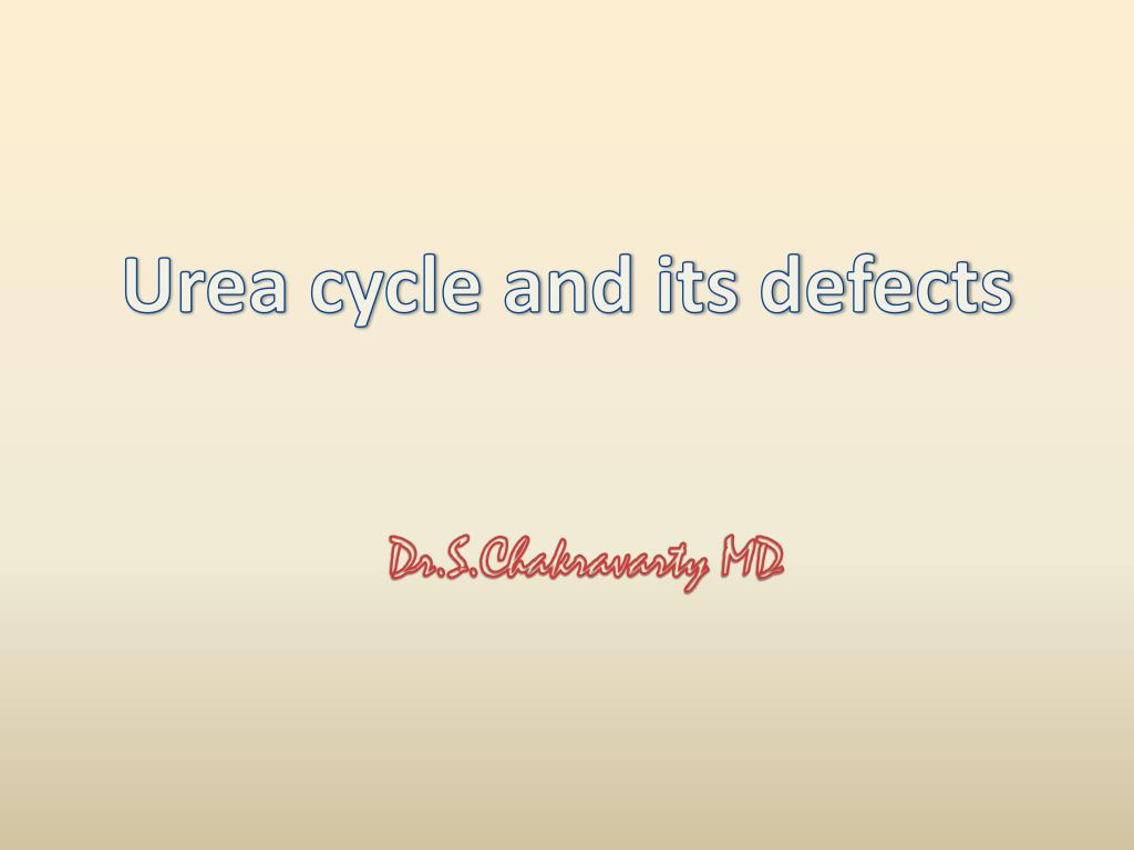 PPT - Urea cycle and its defects PowerPoint Presentation, free download ...
