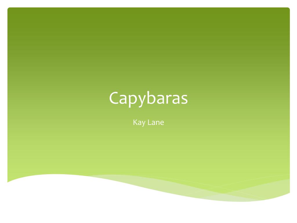 PPT - Capybaras PowerPoint Presentation, free download - ID:2852883