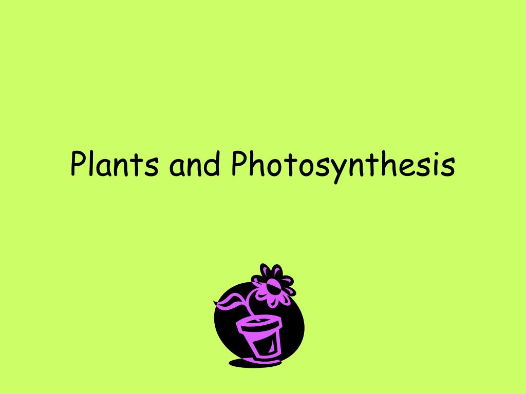 PPT - Plants and Photosynthesis PowerPoint Presentation, free download ...