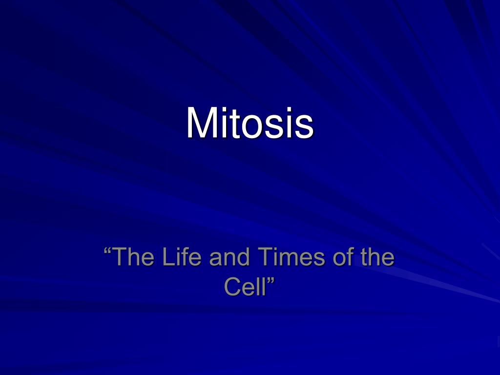 PPT - Mitosis PowerPoint Presentation, free download - ID:2853406