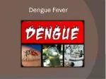 PPT - Dengue Fever PowerPoint Presentation, free download - ID:3414480