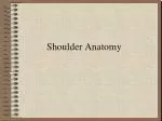 PPT - FUNCTIONAL ANATOMY OF SHOULDER JOINT PowerPoint Presentation ...