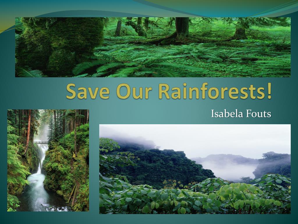 PPT - Save Our Rainforests! PowerPoint Presentation, free download - ID ...