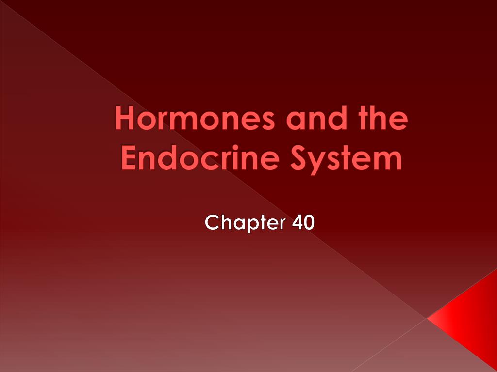 PPT - Hormones and the Endocrine System PowerPoint Presentation, free ...