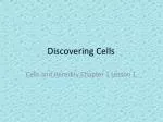 PPT - Discovering Cells 1-1 PowerPoint Presentation, free download - ID ...