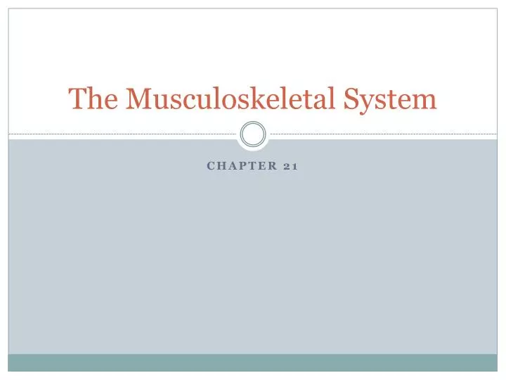 PPT - The Musculoskeletal System PowerPoint Presentation, free download ...
