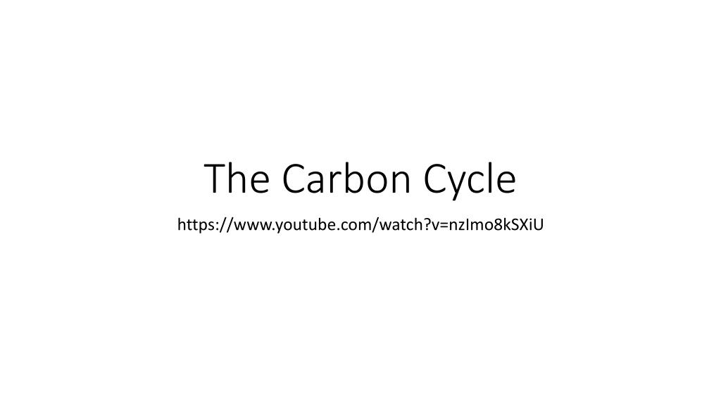 PPT - The Carbon Cycle PowerPoint Presentation, free download - ID:2870029
