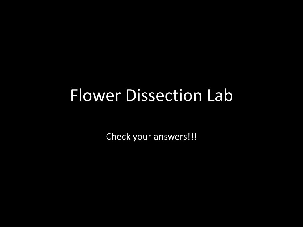 PPT - Flower Dissection Lab PowerPoint Presentation, free download - ID ...