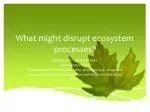 PPT - Disruption of Ecosystem Processes PowerPoint Presentation, free ...