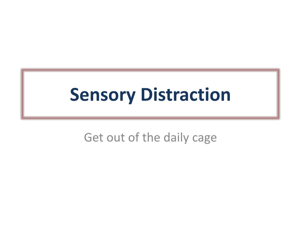 PPT - Sensory Distraction PowerPoint Presentation, free download - ID ...