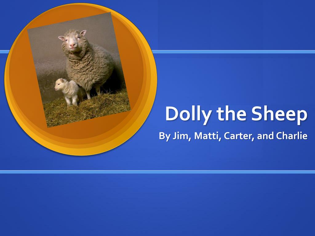PPT - Dolly the Sheep PowerPoint Presentation, free download - ID:2873371