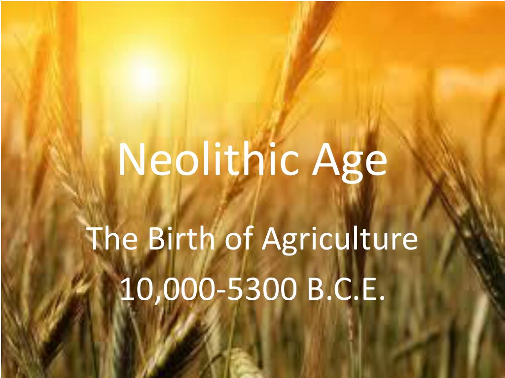PPT - Neolithic Age PowerPoint Presentation, free download - ID:2873853