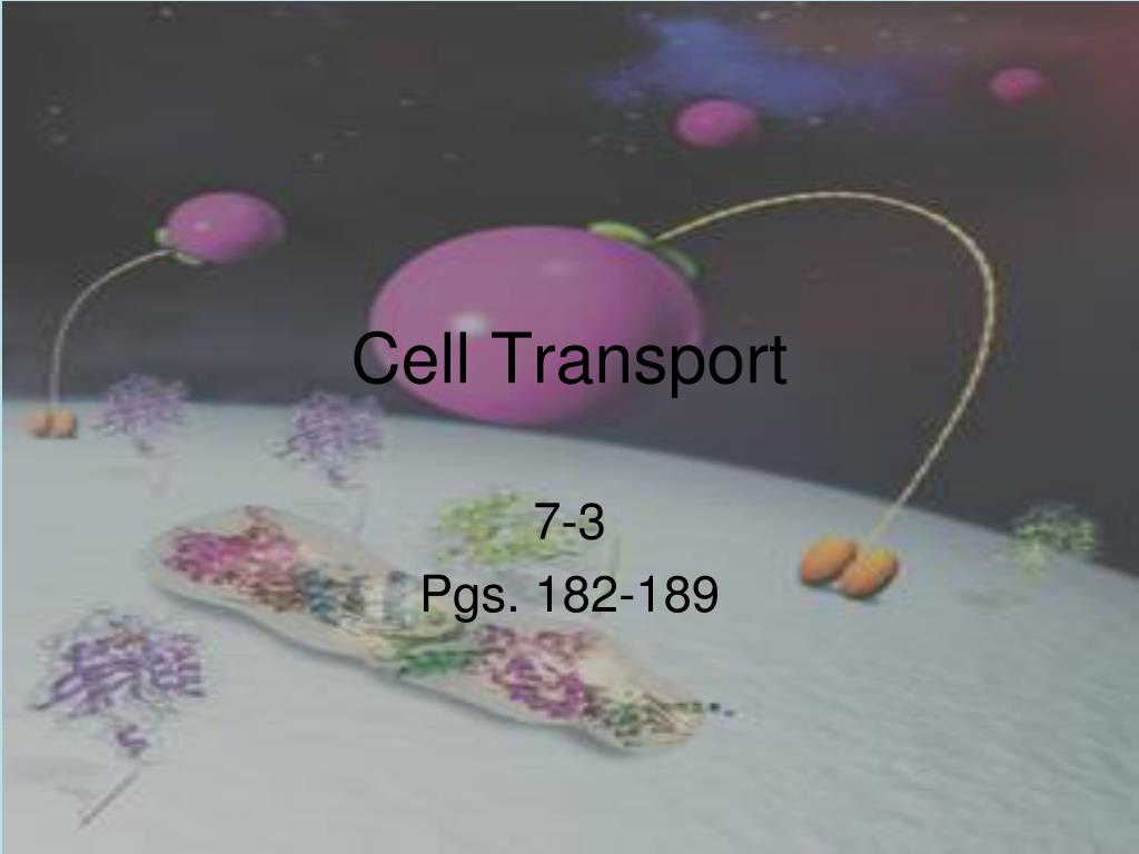 PPT - Cell Transport PowerPoint Presentation, free download - ID:2874056