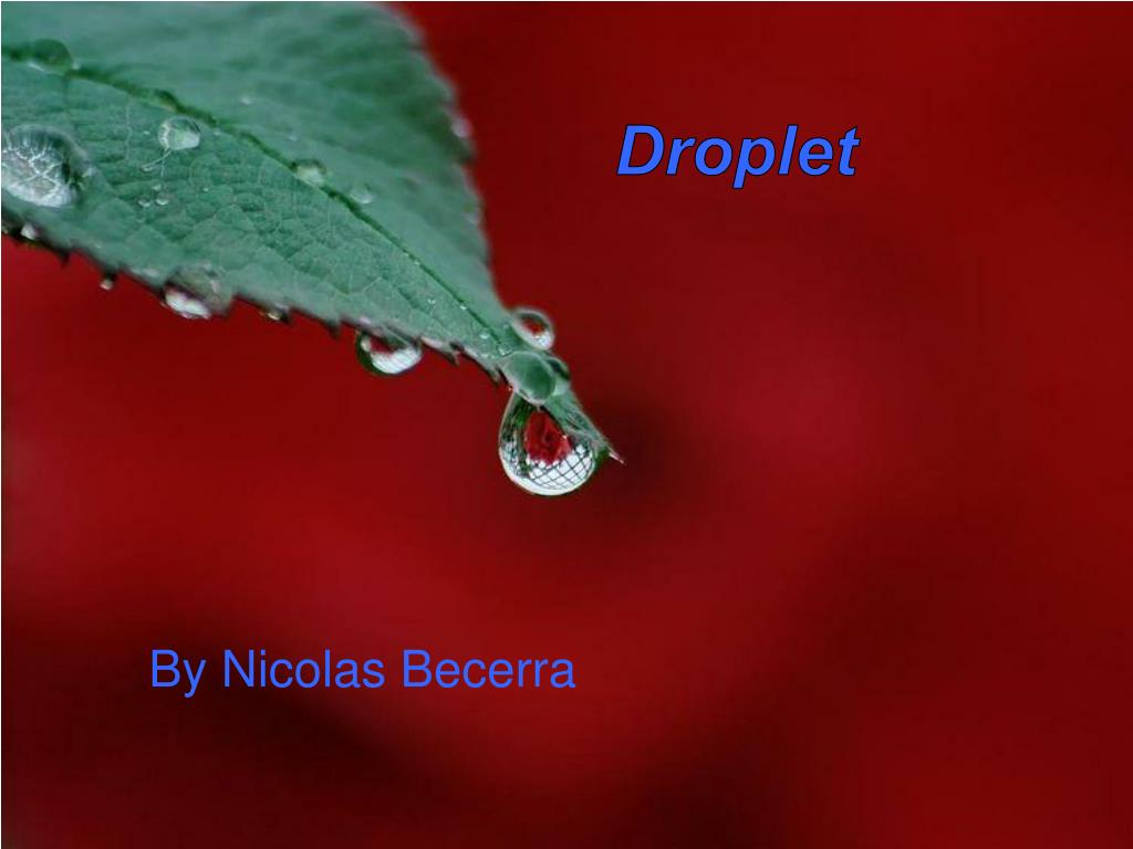 PPT - Droplet PowerPoint Presentation, free download - ID:2875735