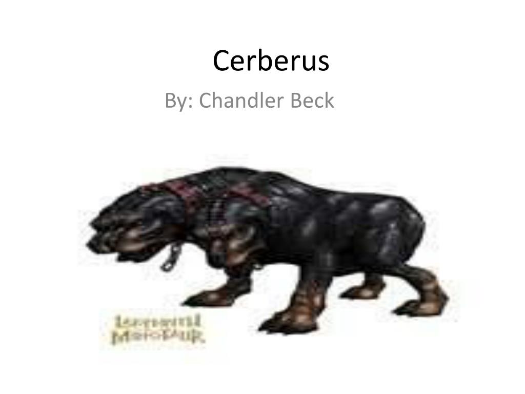 PPT - Cerberus PowerPoint Presentation, free download - ID:2876443