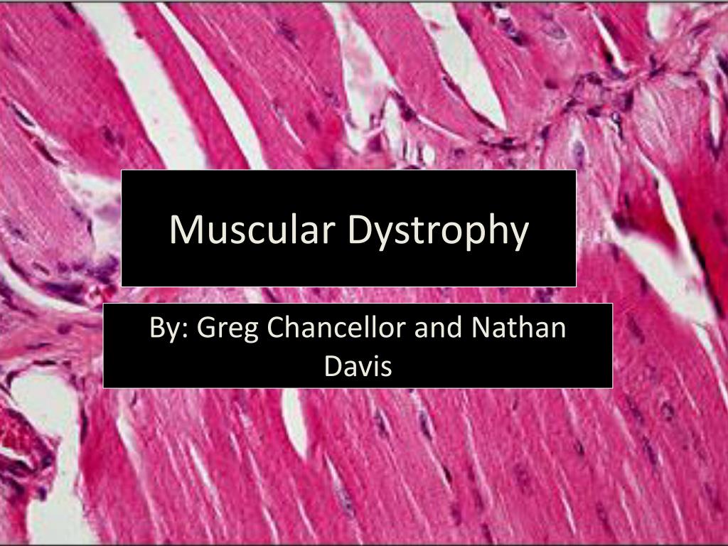 PPT - Muscular Dystrophy PowerPoint Presentation, free download - ID ...