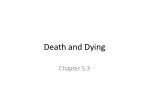 PPT - Aging, Death, and Dying PowerPoint Presentation, free download ...