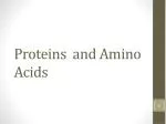 PPT - Amino Acids and Proteins PowerPoint Presentation, free download ...