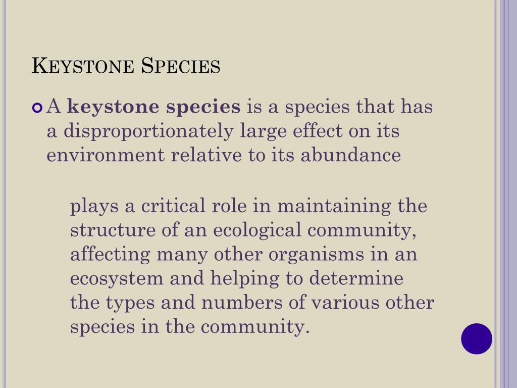 PPT - Keystone Species PowerPoint Presentation, free download - ID:2881455