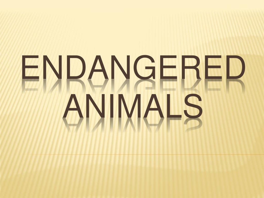 PPT - Endangered Animals PowerPoint Presentation, free download - ID ...