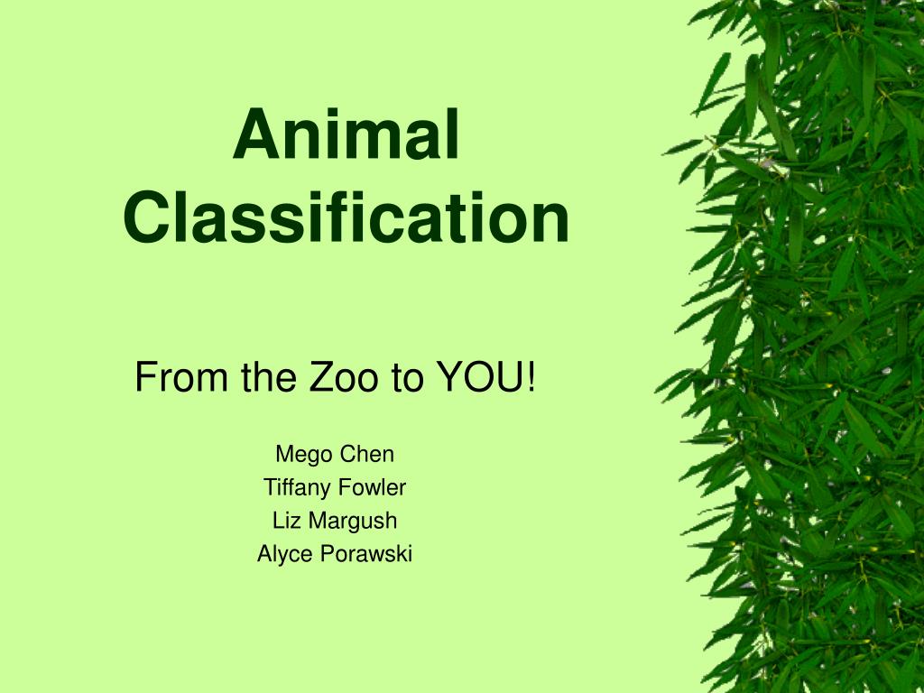 PPT - Animal Classification PowerPoint Presentation, free download - ID ...