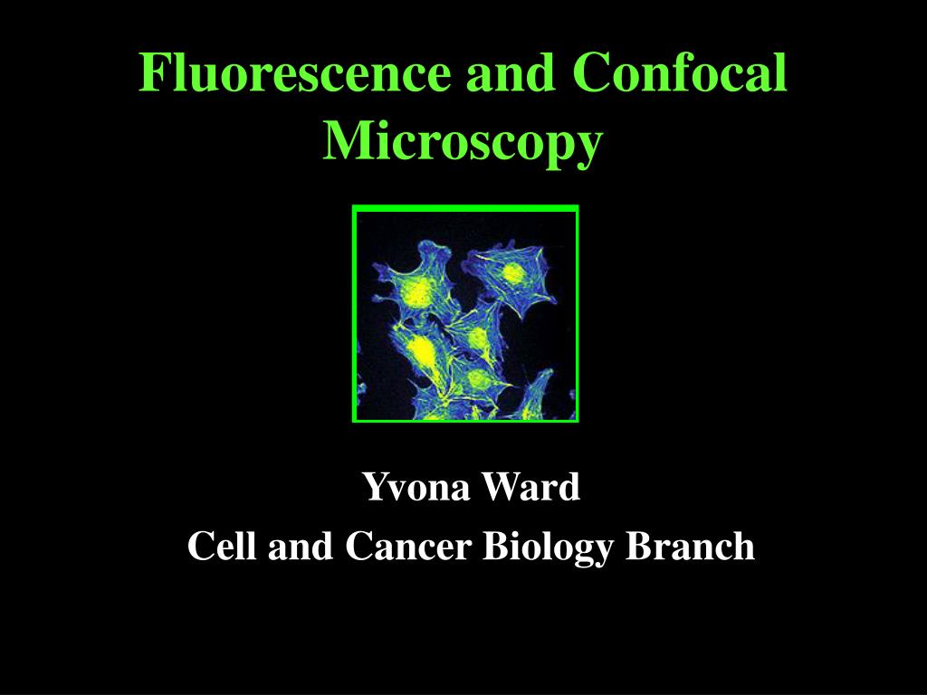 PPT - Fluorescence and Confocal Microscopy PowerPoint Presentation ...