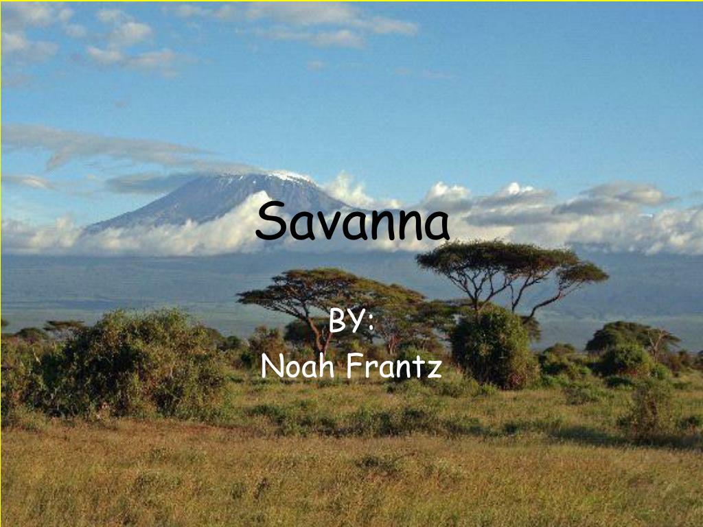 PPT - Savanna PowerPoint Presentation, free download - ID:2885715