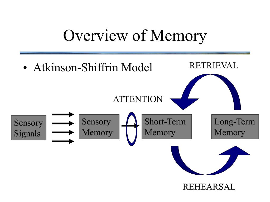 PPT - Overview of Memory PowerPoint Presentation, free download - ID ...