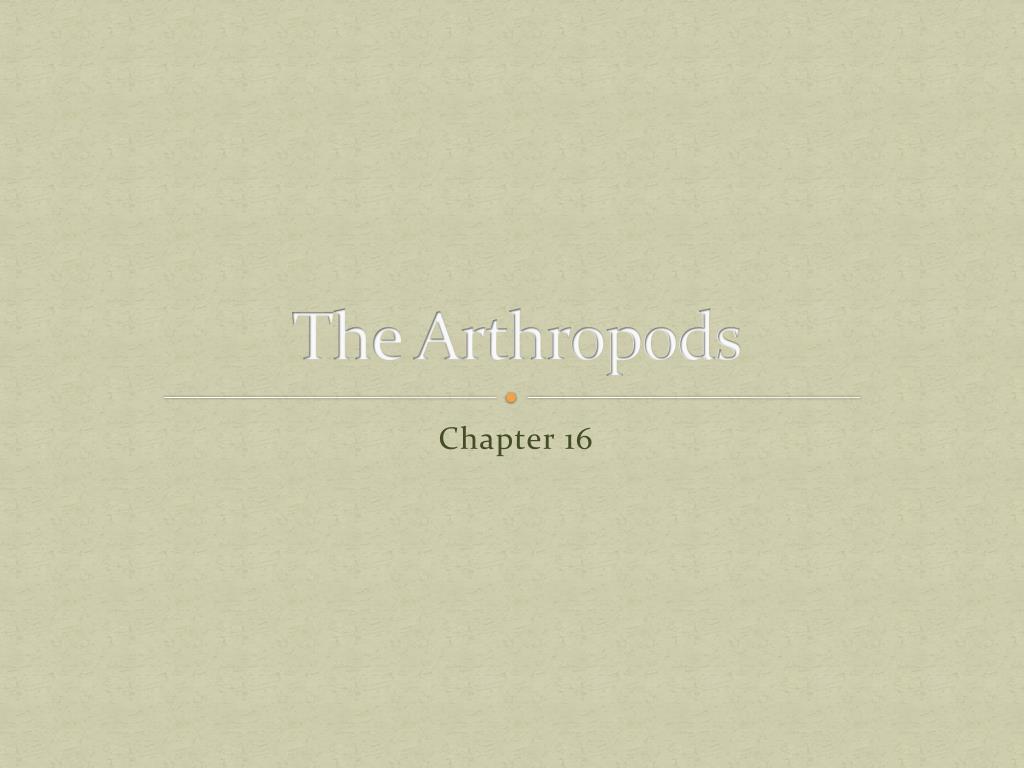 PPT - The Arthropods PowerPoint Presentation, free download - ID:2888156