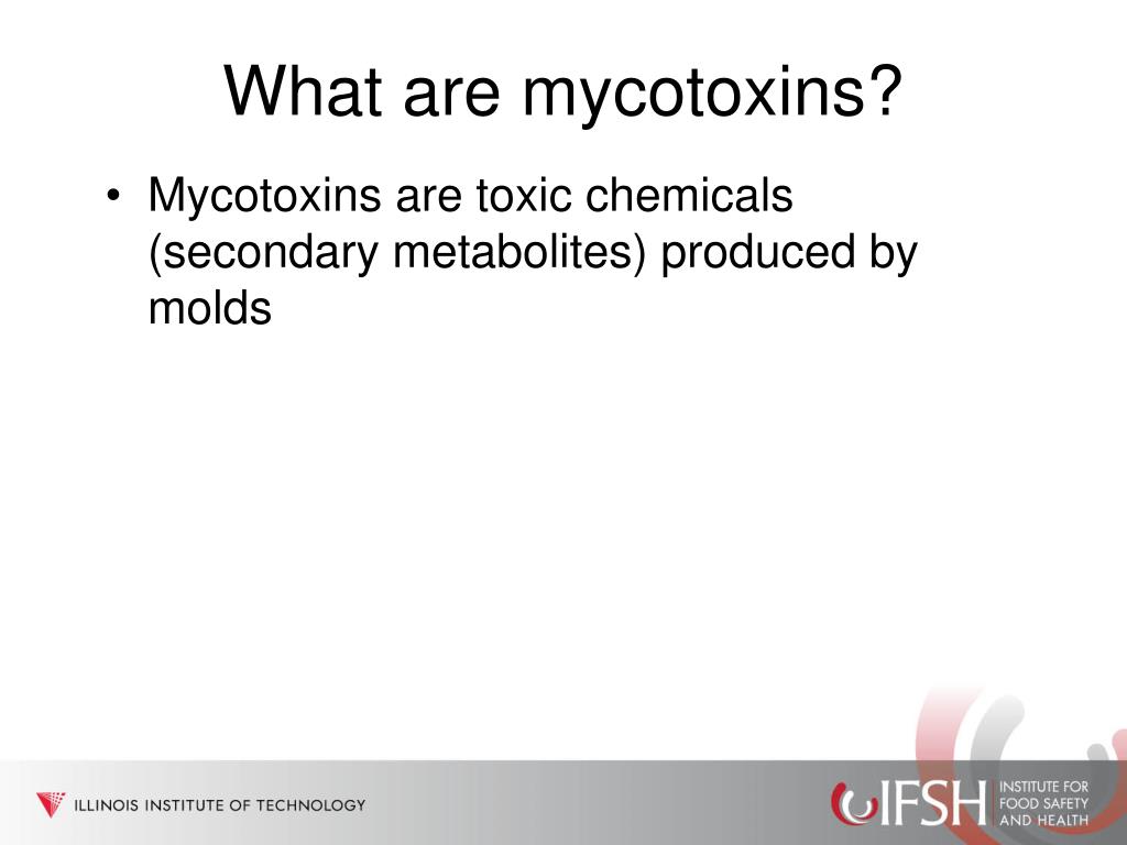 PPT - What are mycotoxins? PowerPoint Presentation, free download - ID ...