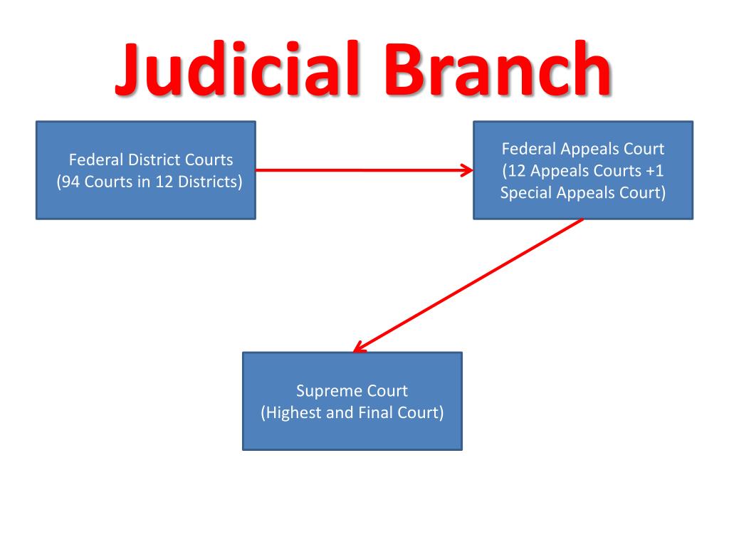 PPT - Judicial Branch PowerPoint Presentation, free download - ID:2910249